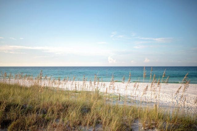 How to Use the Beach Flag Warning System Along the Gulf Coast