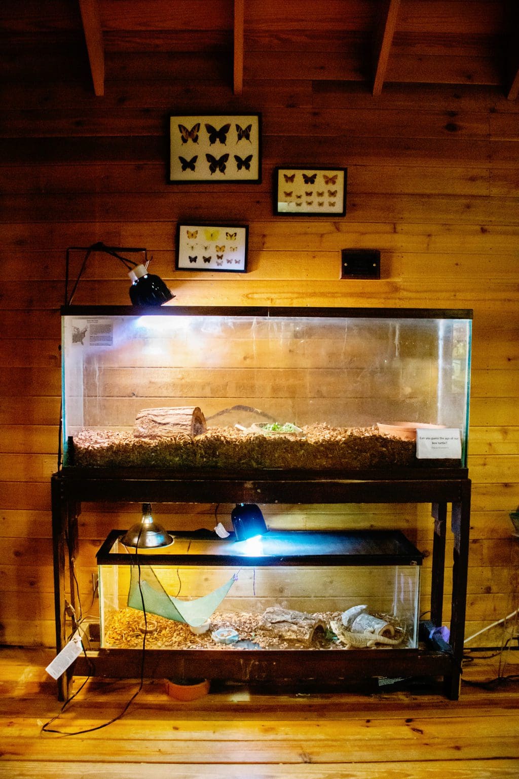 Visit Landmark Park in Dothan, Alabama! Everything you need to know!