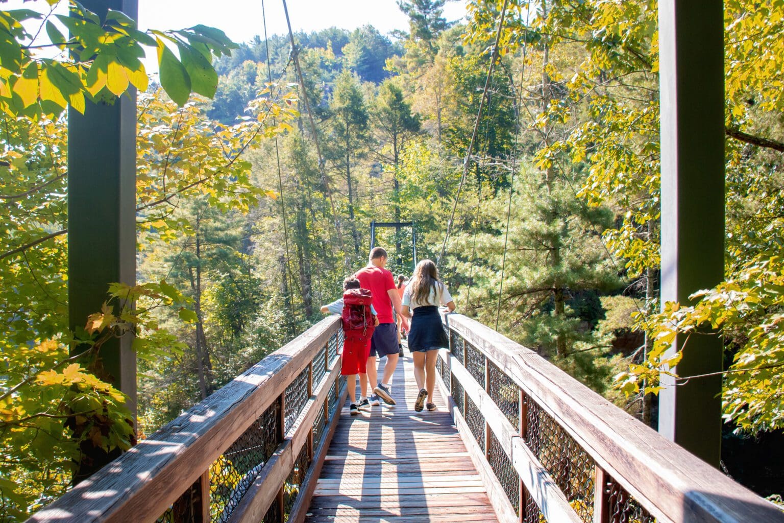 Tallulah Gorge State Park, Waterfall Hike & Suspension Bridge | Georgia ...