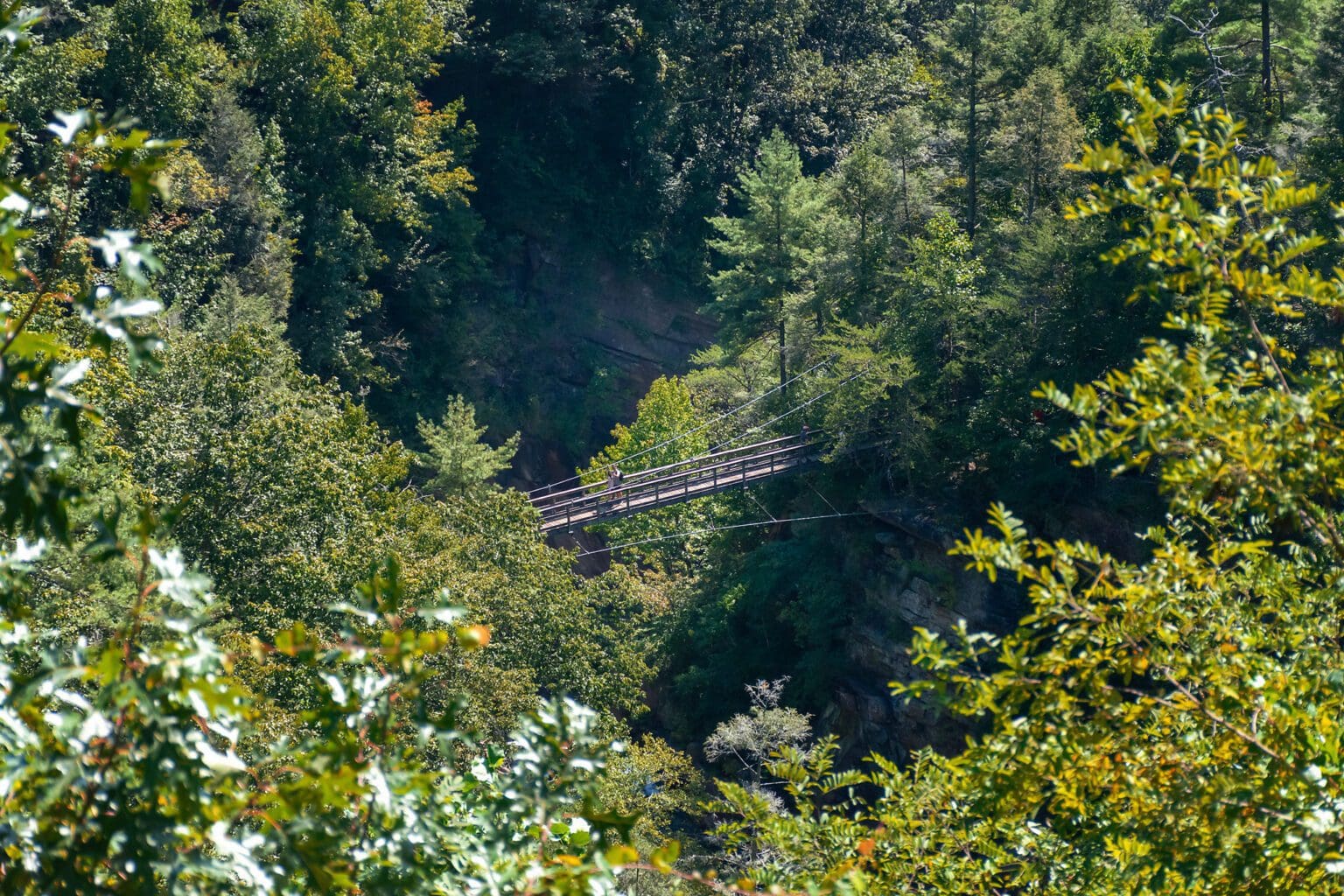 Tallulah Gorge State Park, Waterfall Hike & Suspension Bridge | Georgia Travel