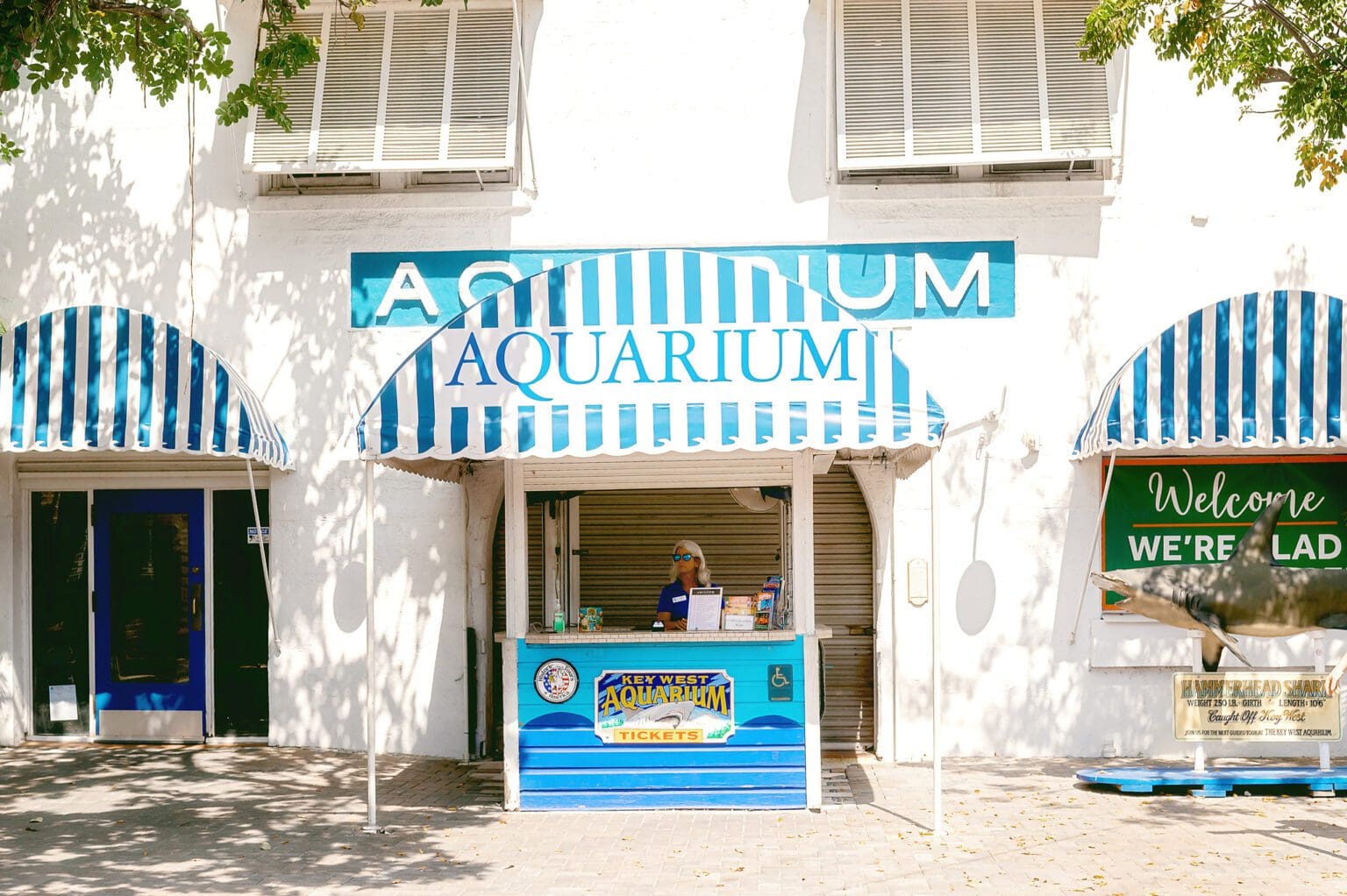 18 Exciting Things for Families to do in Key West