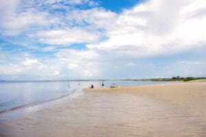 Visiting the Jekyll Island Sea Turtles at the Georgia Sea Turtle Center