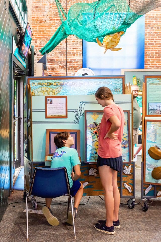 Visiting the Jekyll Island Sea Turtles at the Georgia Sea Turtle Center