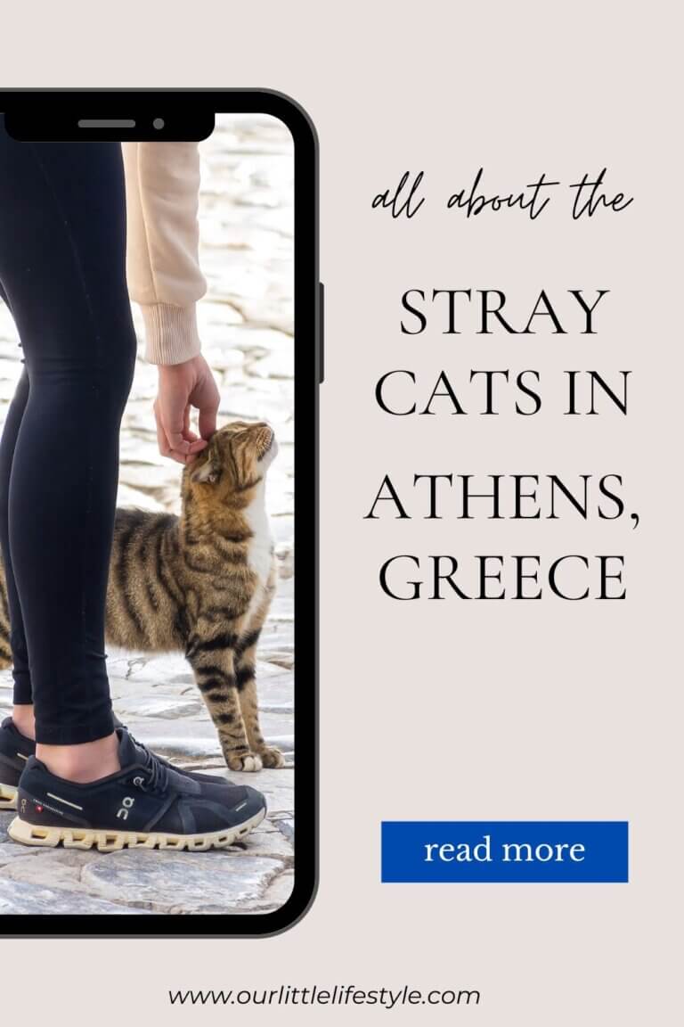 What’s Up With The Cats In Athens, Greece?