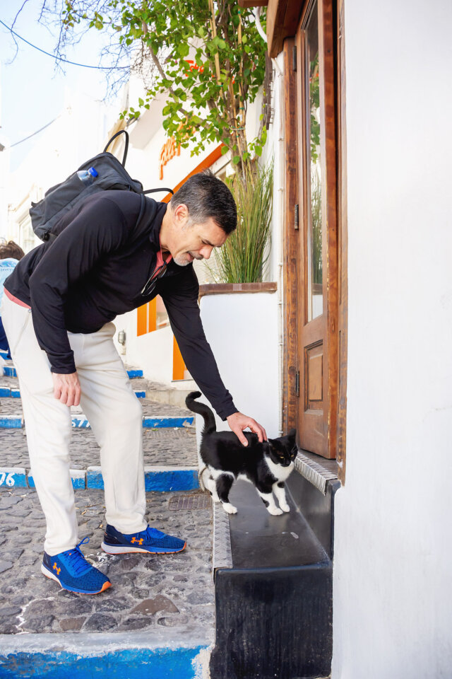 What’s Up With The Cats In Athens, Greece?