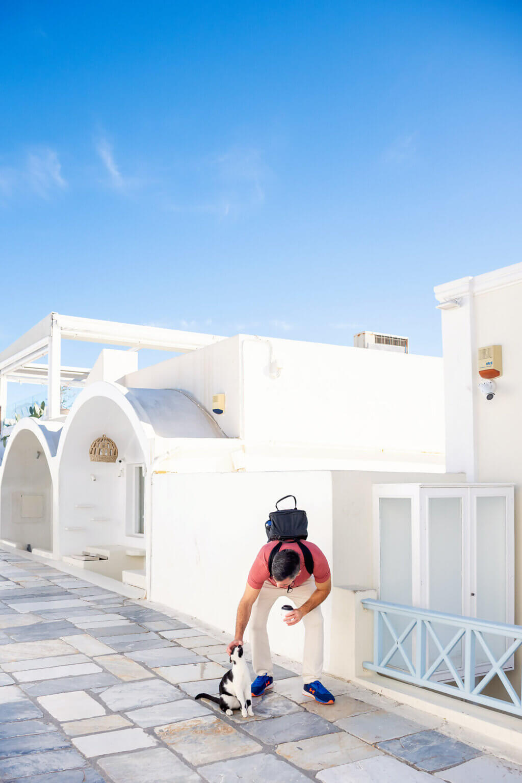 What’s Up With The Cats In Athens, Greece?