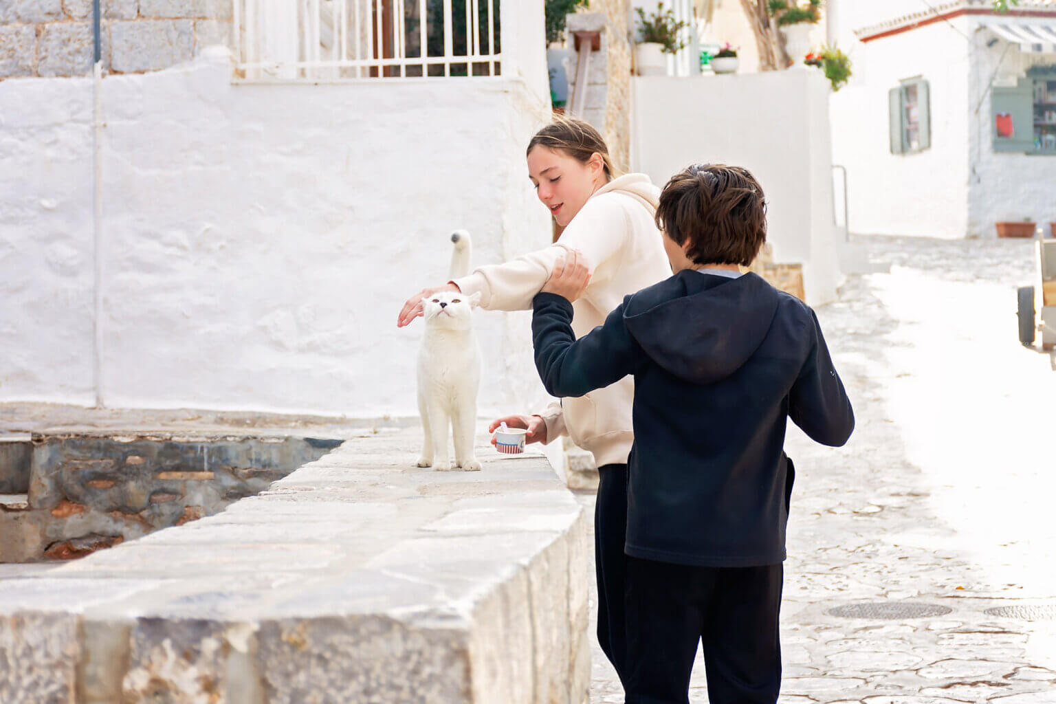 What’s Up With The Cats In Athens, Greece?