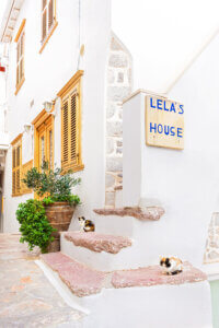 What’s Up With The Cats In Athens, Greece?