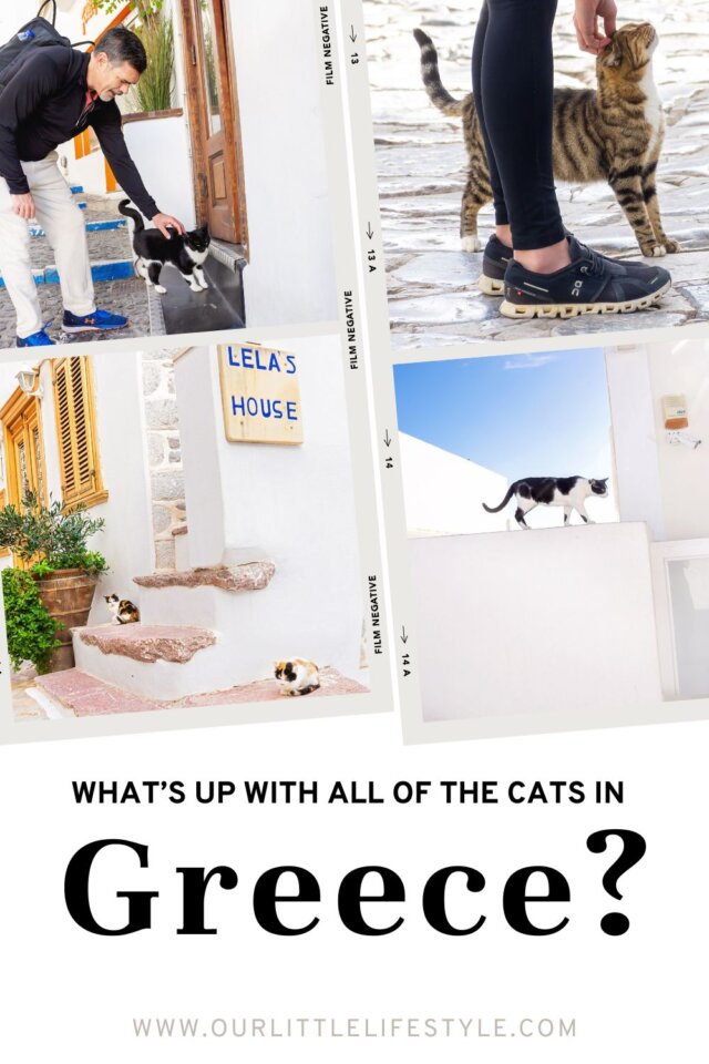 What’s Up With The Cats In Athens, Greece?