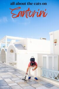 What’s Up With The Cats In Athens, Greece?