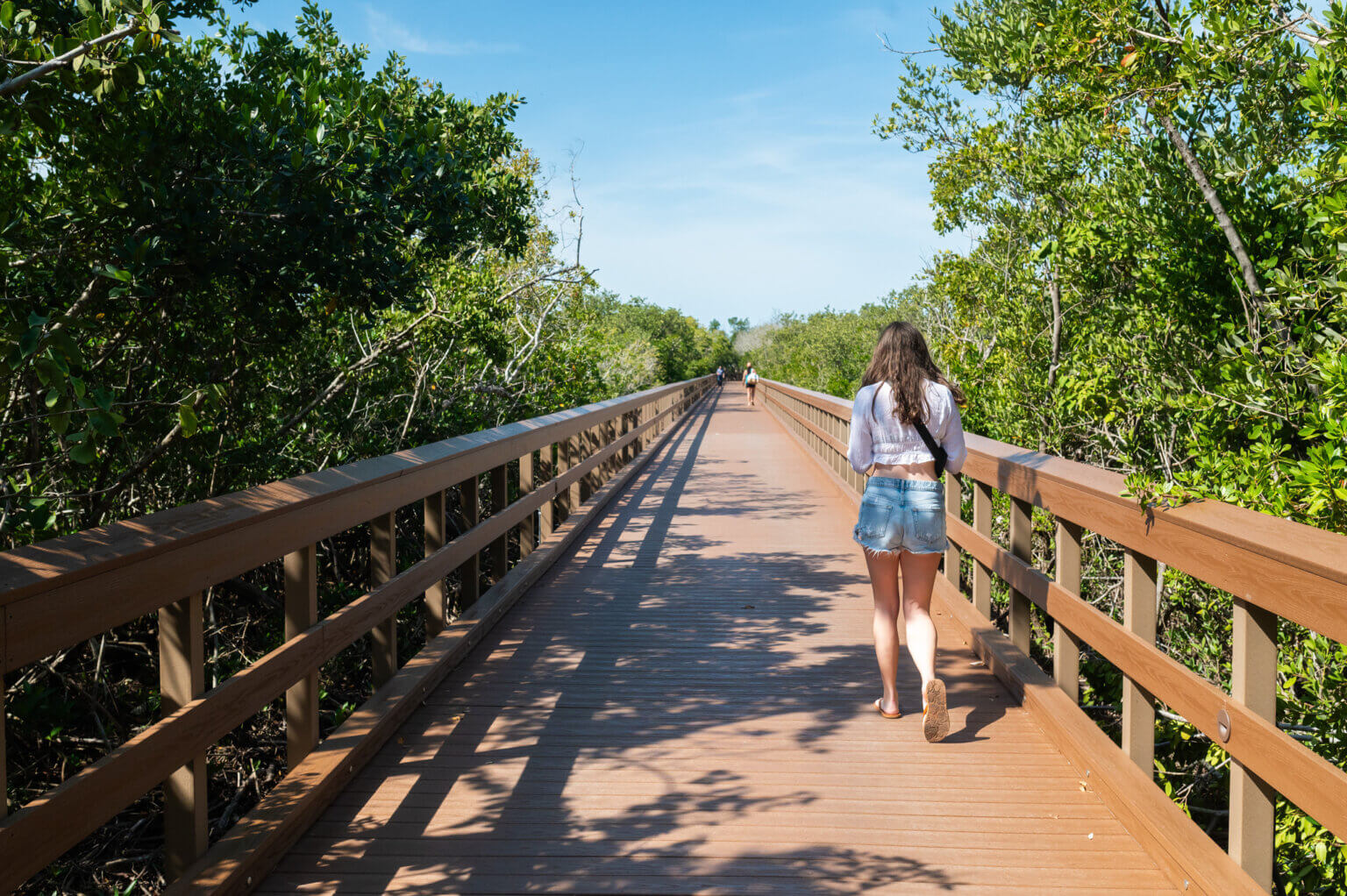 Hyatt Regency Coconut Point: a Family Friendly Resort in Florida