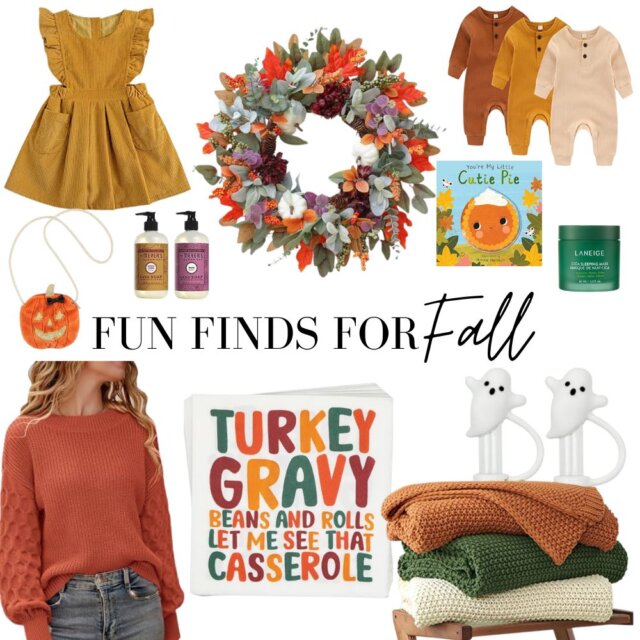Fall Amazon Favorites 2025 • Our Little Lifestyle