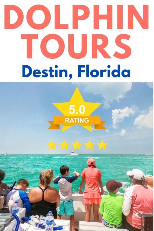 Dolphin Tours In Destin, Florida: Everything You Need To Know