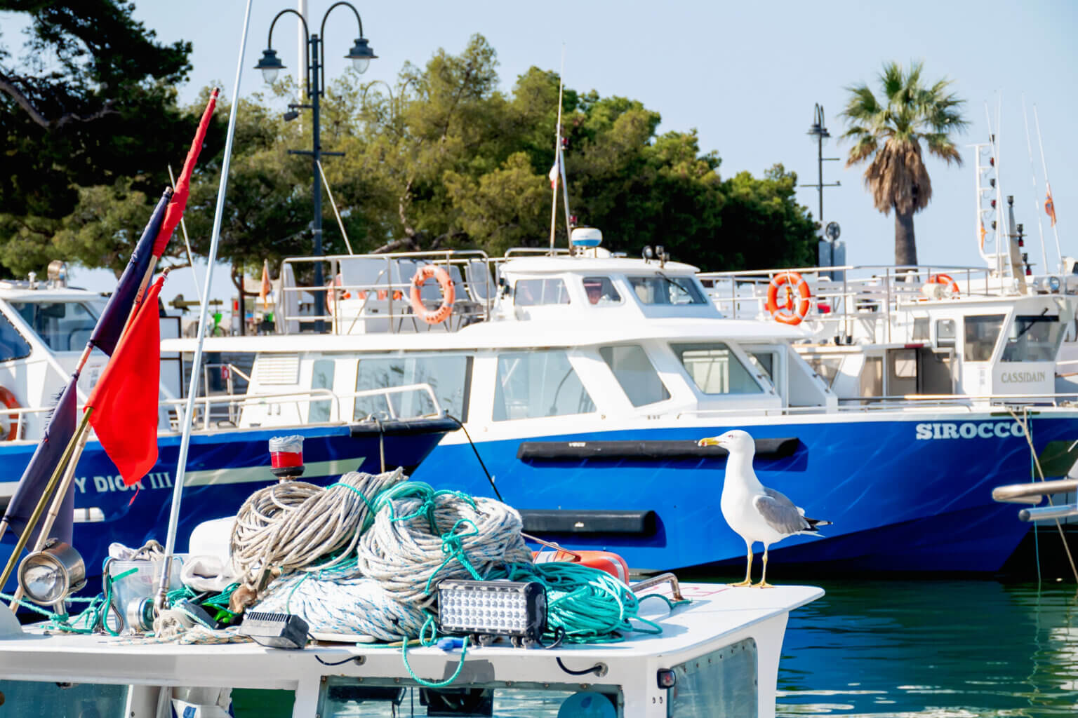 Everything You Need To Know About Taking A Calanques Boat Tour From ...